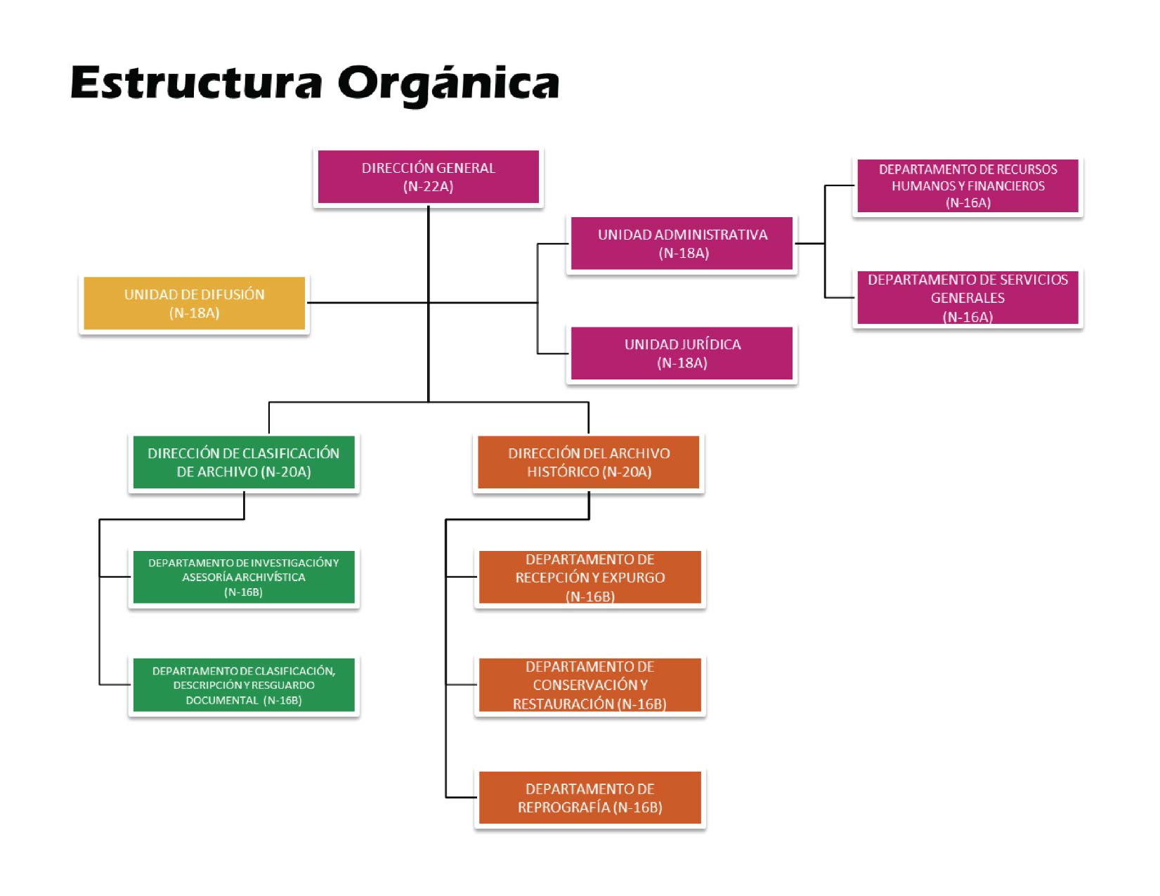 Ideas De Organigramas Organigrama Estructuras Organicas Organizacion