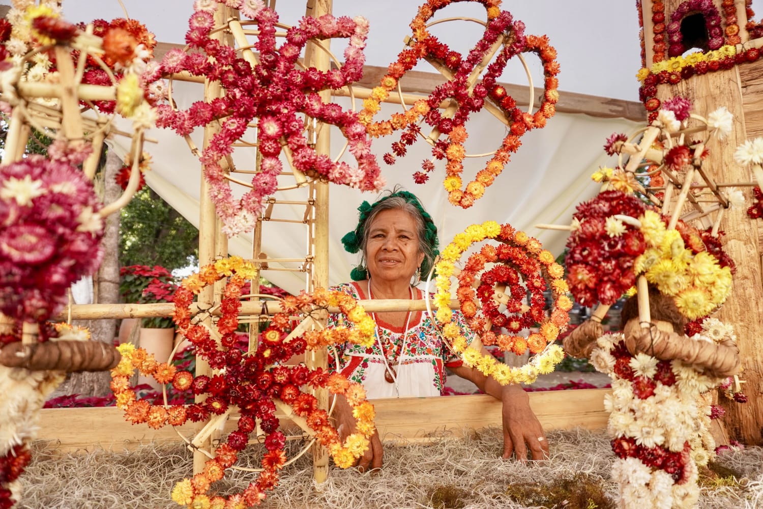 En un ambiente de paz social y seguridad se vivió la Noche de Rábanos ...