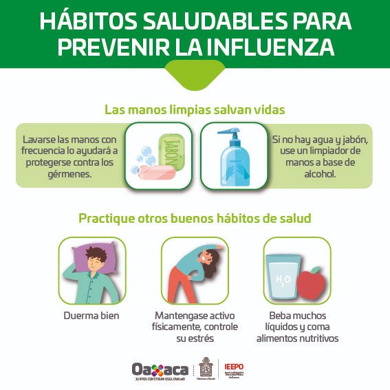 Hábitos Para Prevenir La Influenza Instituto Estatal De Educación