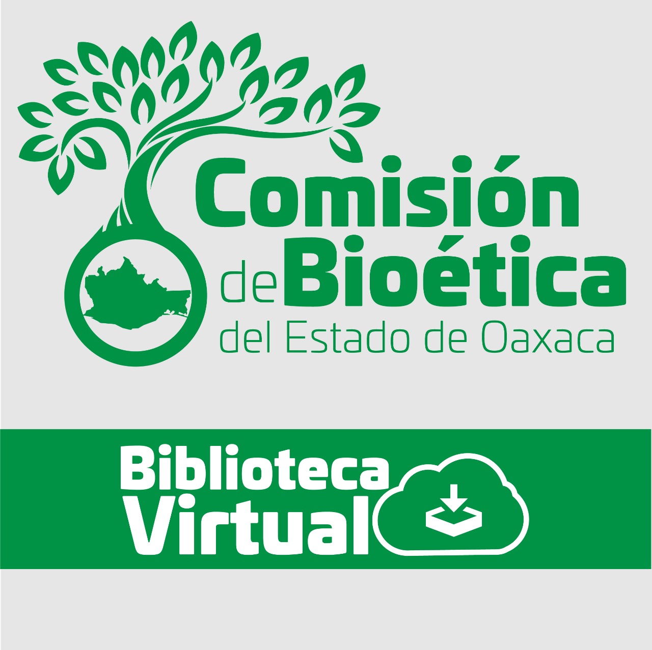 Secretaría De Salud Servicios De Salud De Oaxaca